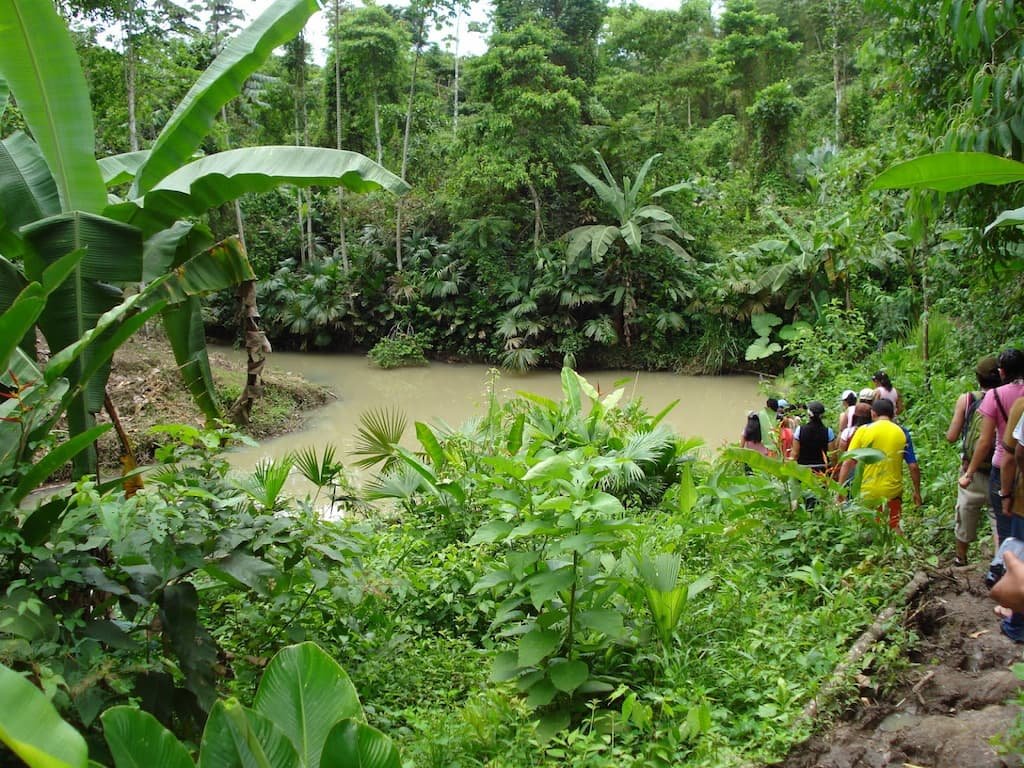 Pedernales la playa más cerca de Quito - Playas Top Ecuador 【2022】